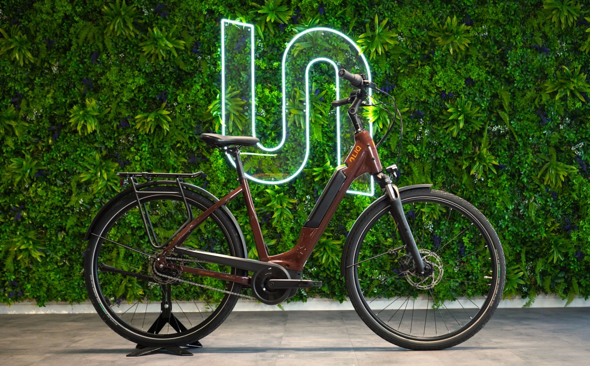 Buy LIQBIKE Comfort Active Line Plus 545Wh freewheel online